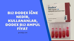 B12 Dodex İğne Kullananlar (Kullanmadan Önce Gerekli Bilgiler) » Gncbilgi
