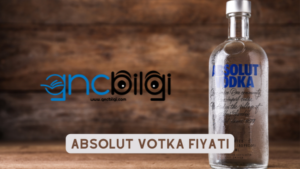 Absolut Votka Fiyatı 2025 (35'lik,70'lik, 100'lük Fiyat) - Gncbilgi