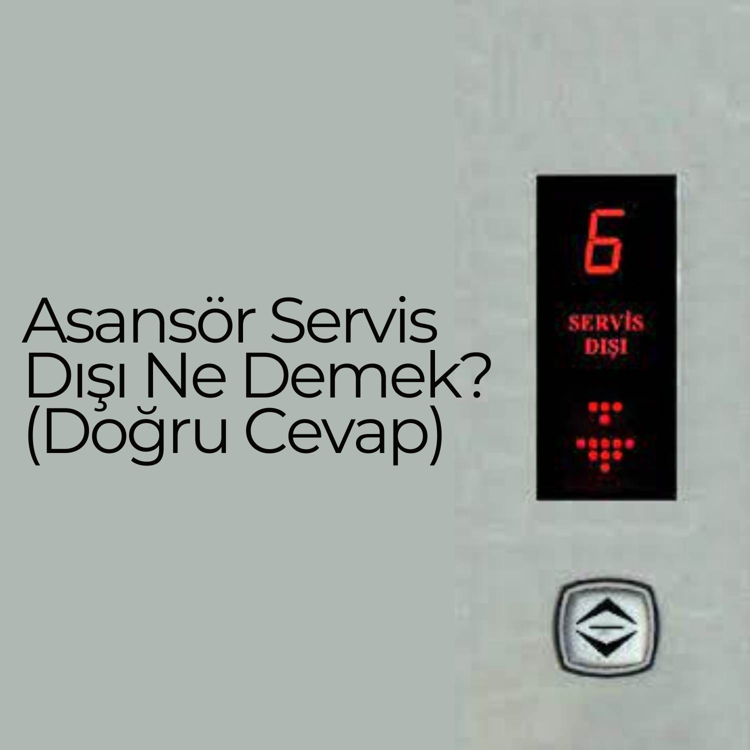 Asansör Servis Dışı Ne Demek?(Doğru Cevap) - Gncbilgi